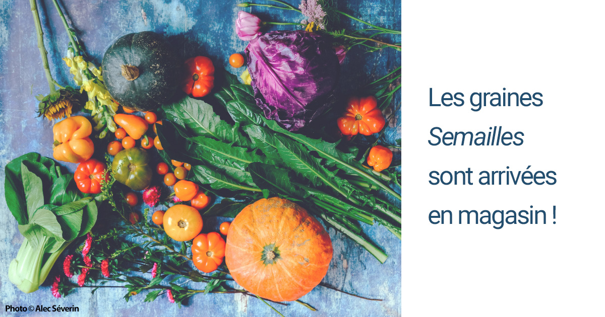 Les graines Semailles sont arrivées • Gourdange